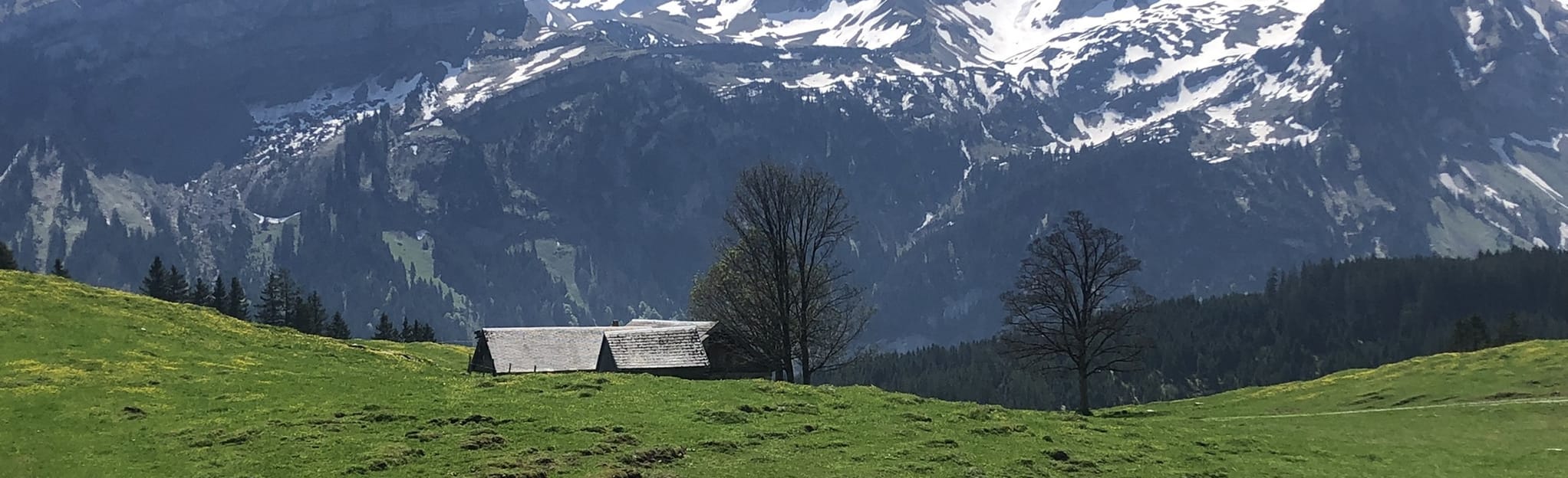 Wildhaus - Voralpsee: 1 Reviews, Map - St. Gallen, Switzerland | AllTrails