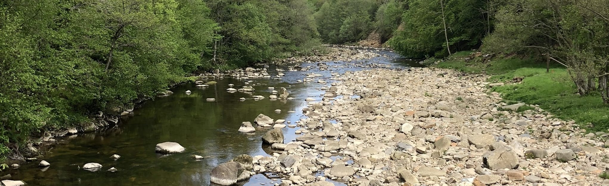 Allen Banks Circular, Northumberland, England - 49 Reviews, Map | AllTrails