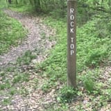 High Point Trail and Rock Top, Illinois - 189 Reviews, Map | AllTrails