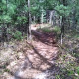 Levis/Trow Mounds Trail, Wisconsin - 290 Reviews, Map | AllTrails