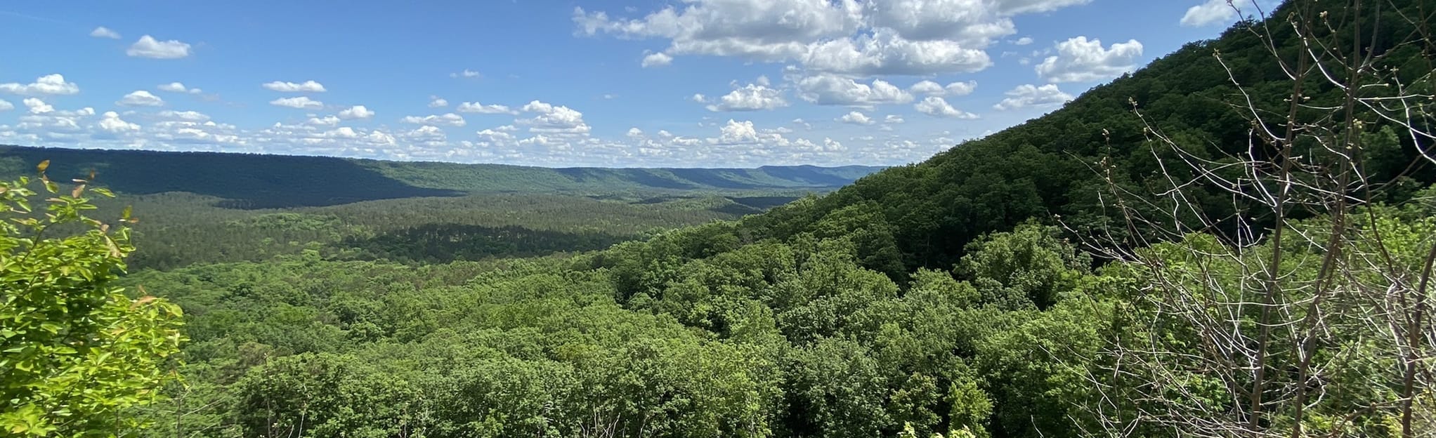 Johns Mountain and Pinhoti Loop: 489 Reviews, Map - Georgia | AllTrails