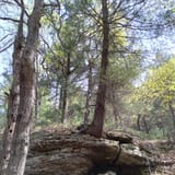 Levis/Trow Mounds Trail, Wisconsin - 277 Reviews, Map | AllTrails