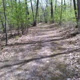 Levis/Trow Mounds Trail, Wisconsin - 277 Reviews, Map | AllTrails