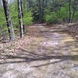 Levis/Trow Mounds Trail, Wisconsin - 277 Reviews, Map | AllTrails