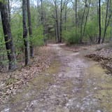 Levis/Trow Mounds Trail, Wisconsin - 277 Reviews, Map | AllTrails