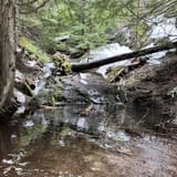 Mount Kit Carson Loop Road, Trail 140 and Trail 110 Loop, Washington ...