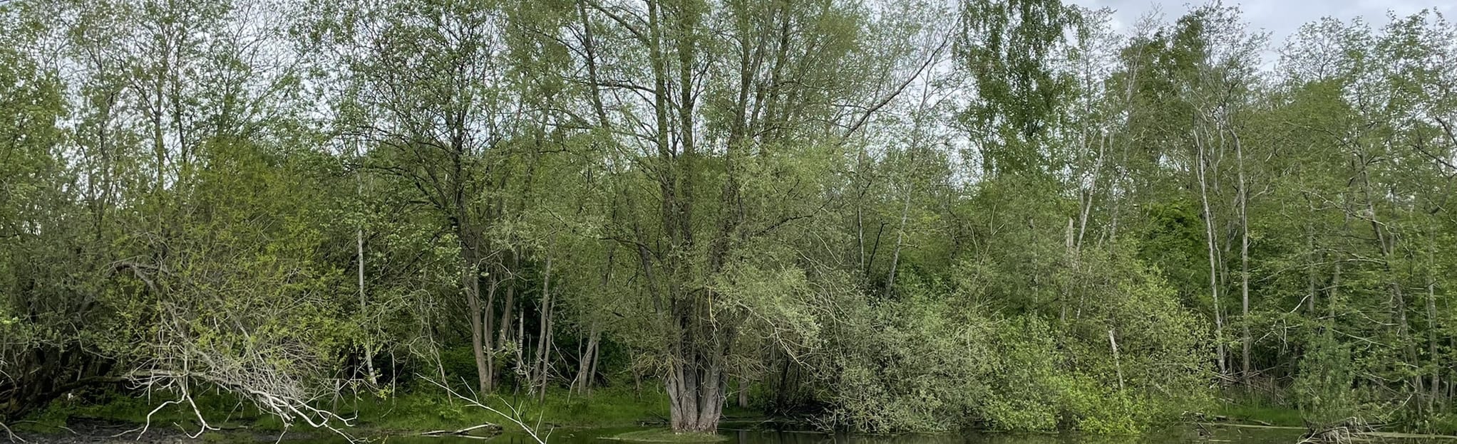 Vestskoven - Green Route: 94 Reviews, Map - Capital Region of Denmark ...