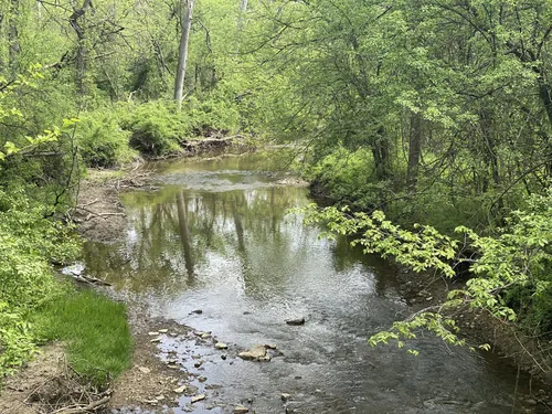 10 Best Hikes and Trails in Tinley Creek Forest Preserve | AllTrails