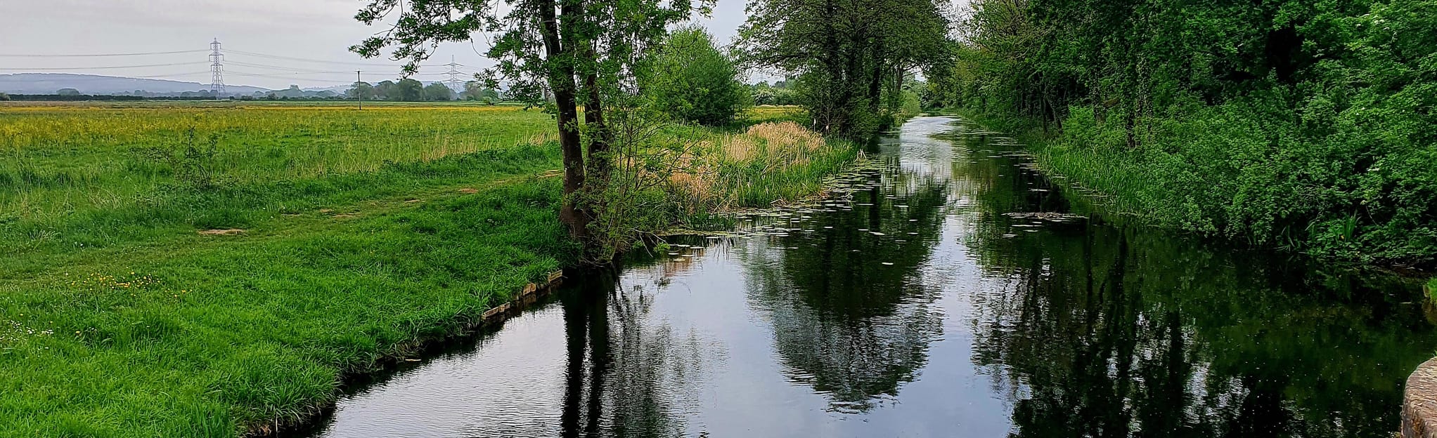 Pocklington Canal Circular, East Riding of Yorkshire, England - 159 ...