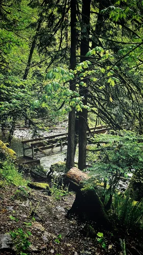 10 Best Hikes and Trails in Goldstream Provincial Park | AllTrails