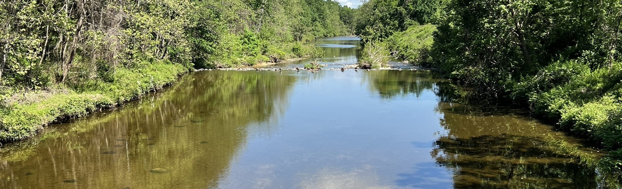 Holmes Run Trail: 353 Reviews, Map - Virginia | AllTrails