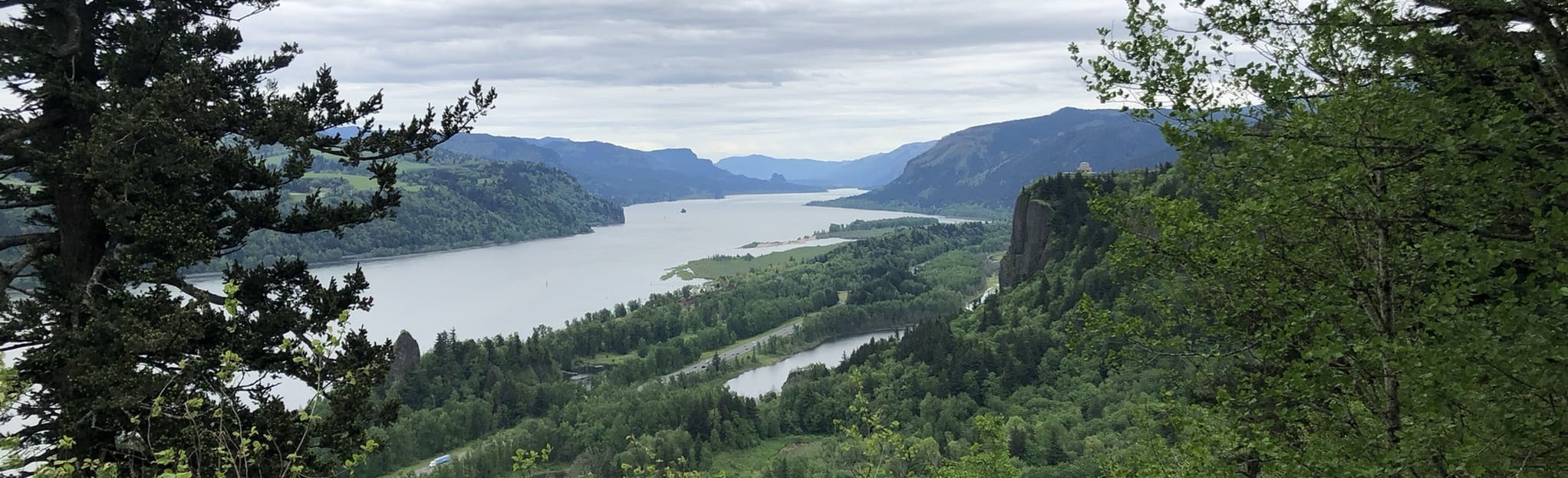 Water Line Road Trail: 95 Reviews, Map - Oregon | AllTrails