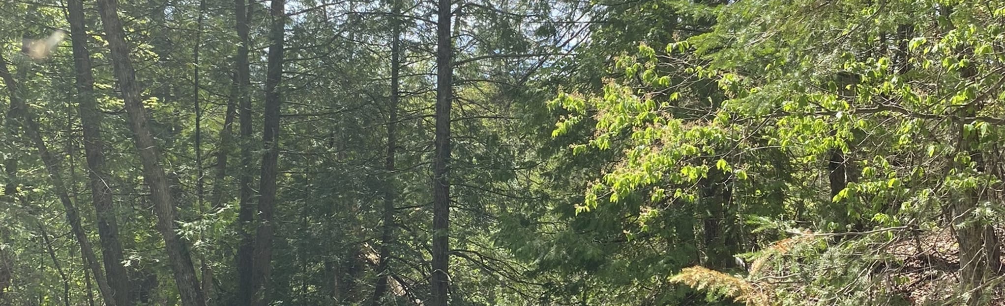 Bottle Lake Trail: 8 Reviews, Map - Ontario, Canada | AllTrails