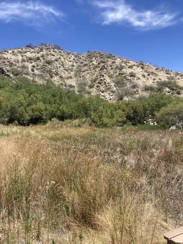 Best Hikes and Trails in Morongo Valley | AllTrails