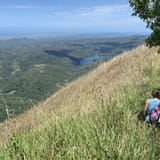 Pico Rodadero Trail: 137 fotos - South Region, Puerto Rico | AllTrails