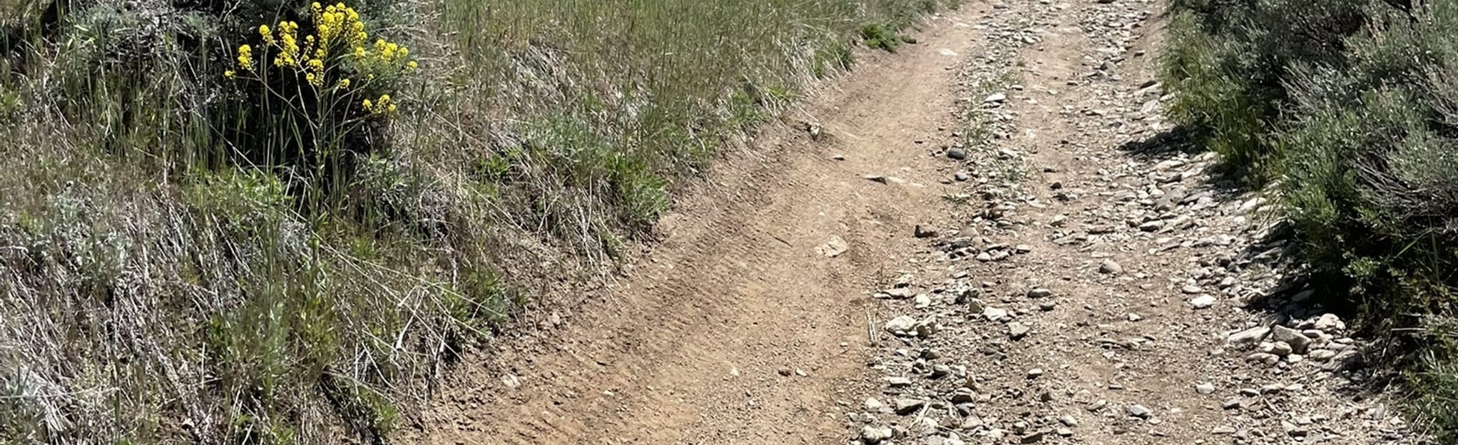 Bountiful Peak Trail | Map, Guide - Utah | AllTrails