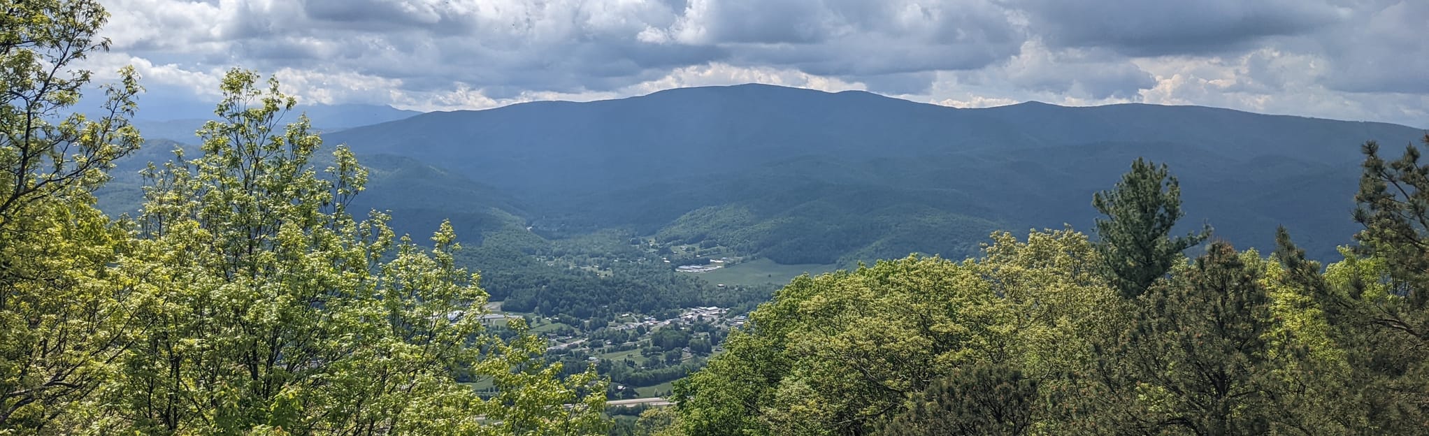 Pinnacle Mountain Fire Tower Trail, Tennessee - 820 Reviews, Map ...