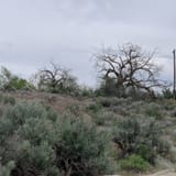 Apple Capital Recreation Loop Trail, Washington - 473 Reviews, Map ...