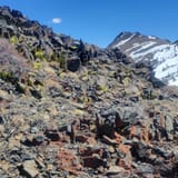 Toiyabe Crest Trail, Nevada - 3 Reviews, Map | AllTrails