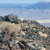 Toiyabe Crest Trail, Nevada - 3 Reviews, Map | AllTrails