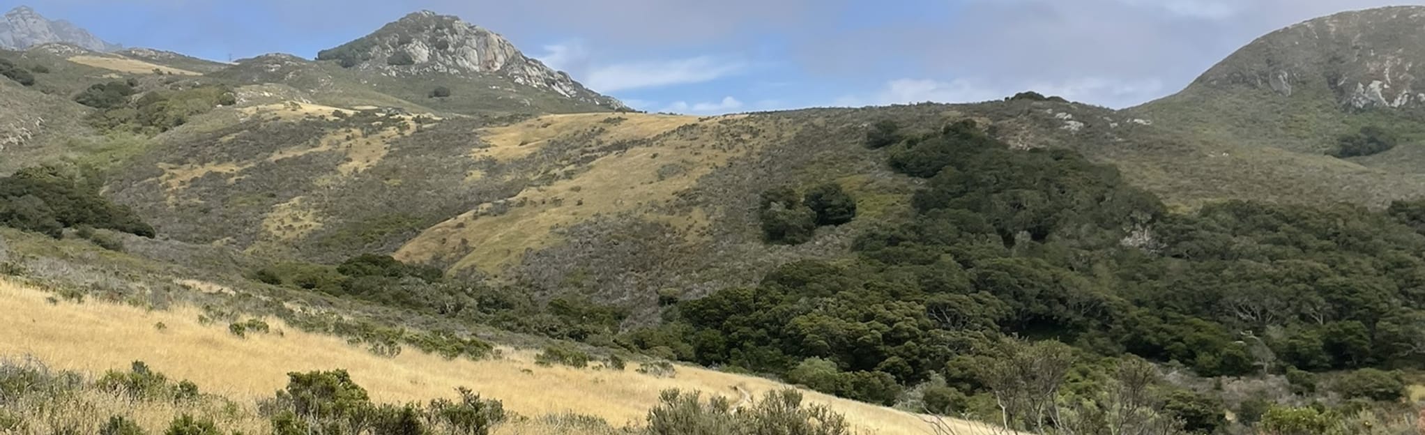 Crespi Trail, California - 234 Reviews, Map | AllTrails