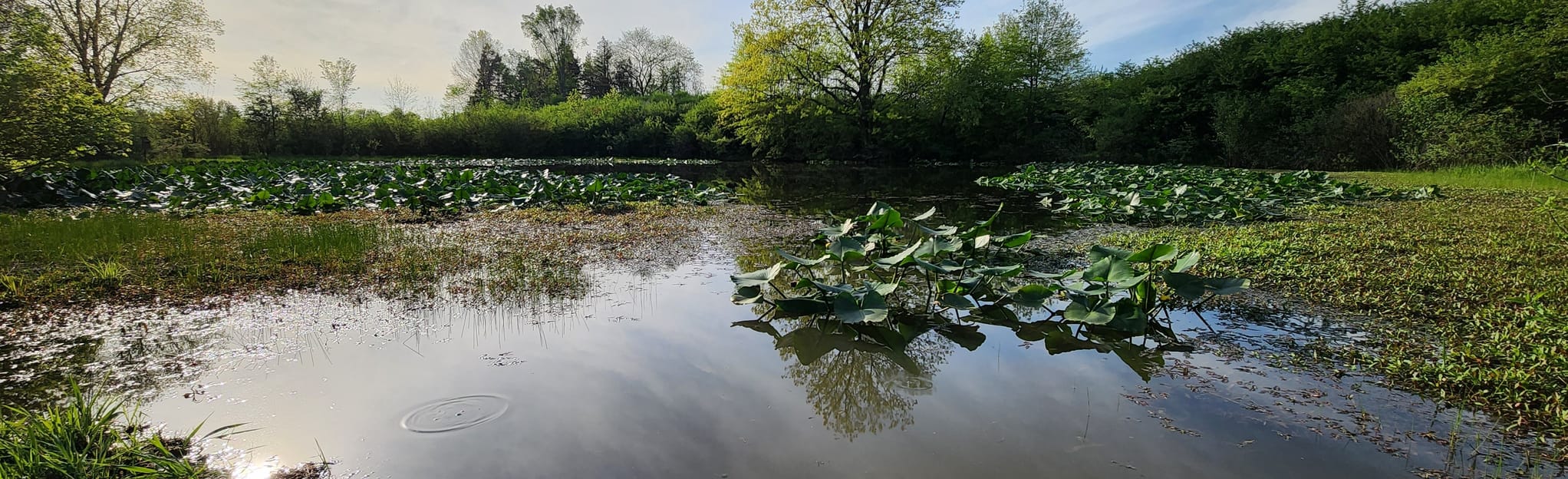 North Fork and South Woods Loop, Ohio - 27 Reviews, Map | AllTrails