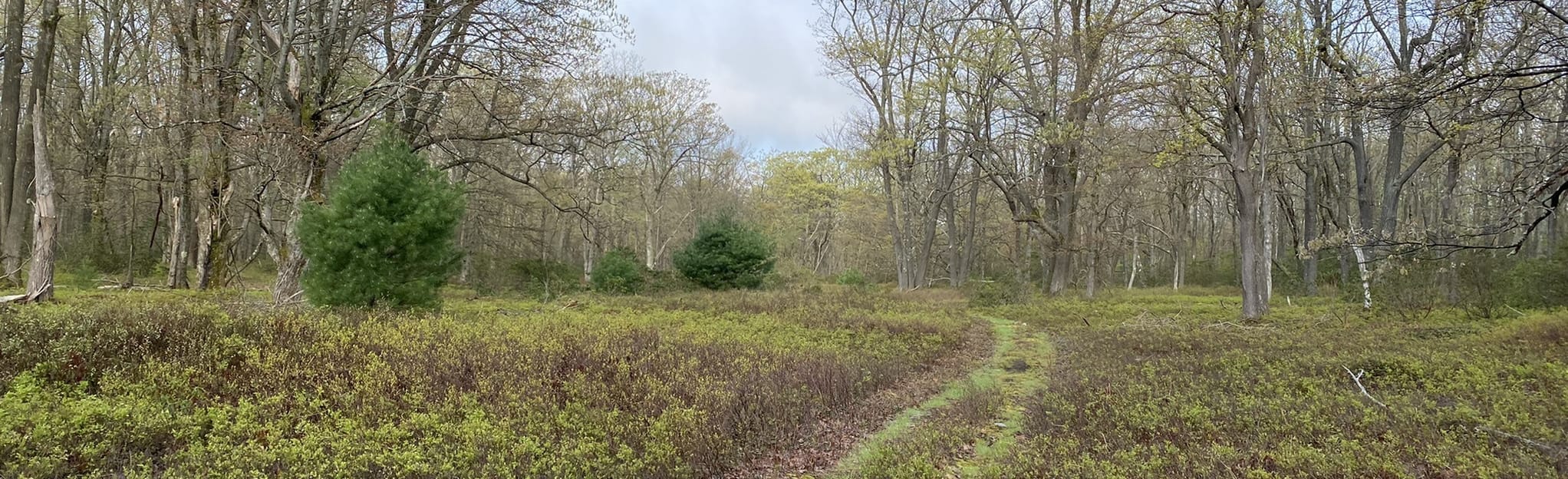 Panther Run Loop , Pennsylvania - 26 Reviews, Map | AllTrails