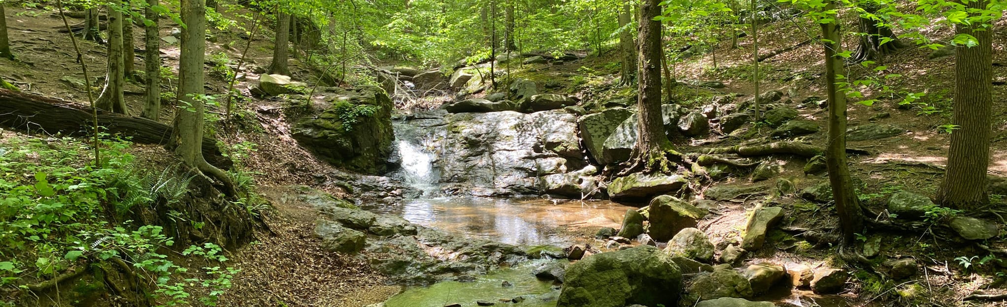 Cascade Falls, Ridge, Old Connector, Old Track, and Lewis and Clark ...