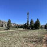 Crystal Springs Loop, Utah - 126 Reviews, Map | AllTrails