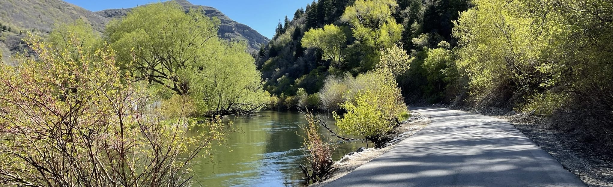 Provo River Parkway, Utah - 377 Reviews, Map | AllTrails