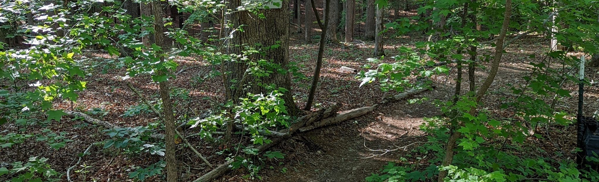 286 Trails [PRIVATE PROPERTY], North Carolina - 95 Reviews, Map | AllTrails