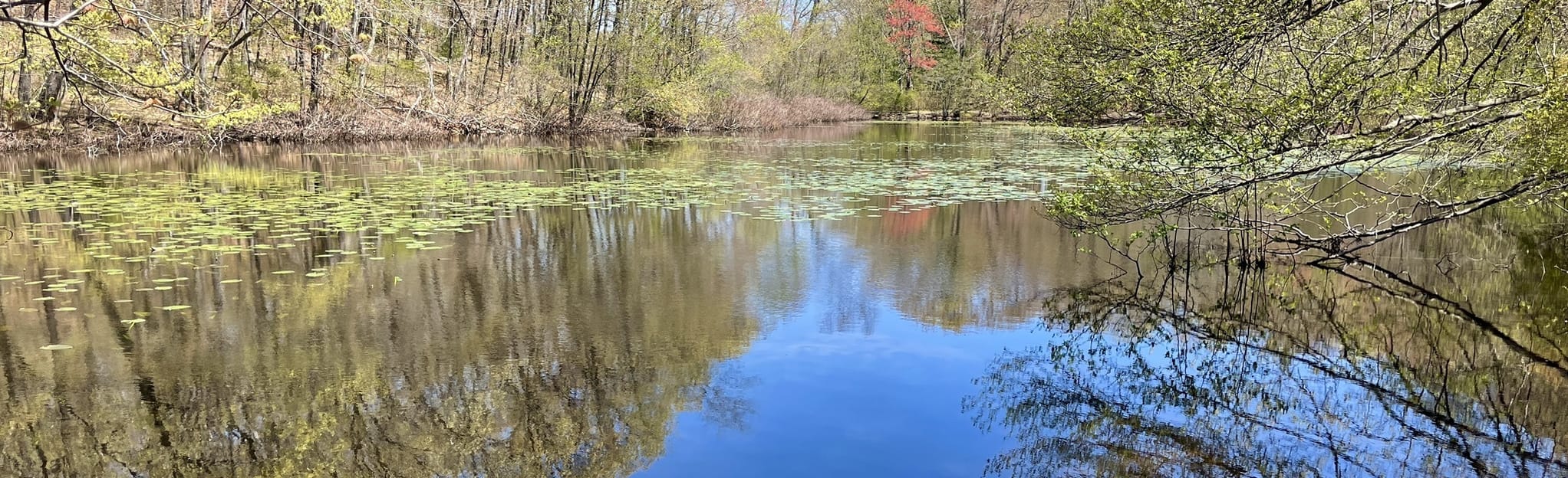 Whipple Hill and Locke Farm, Massachusetts - 600 Reviews, Map | AllTrails