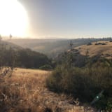 Lopez Canyon Trail To Goat Trail Loop, California - 307 Reviews, Map ...