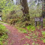 Irely Lake Trail, Washington - 125 Reviews, Map | AllTrails