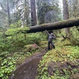 Irely Lake Trail, Washington - 125 Reviews, Map | AllTrails