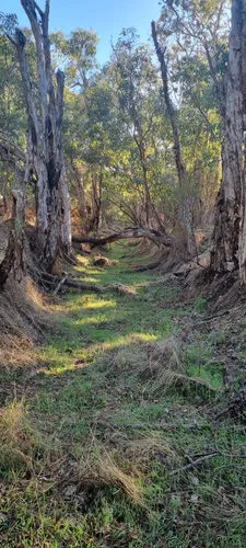 Best Hikes and Trails in Jandakot Regional Park | AllTrails