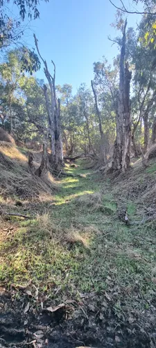Best Hikes and Trails in Jandakot Regional Park | AllTrails