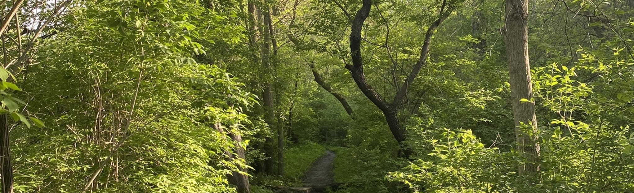 Ewing Park Nature Trail Loop, Iowa - 104 Reviews, Map | AllTrails