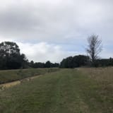 Devilbend Reservoir Loop, Victoria, Australia - 281 Reviews, Map ...