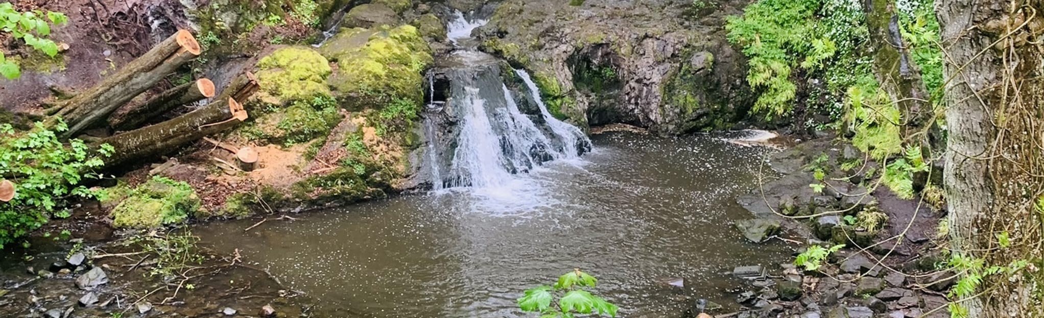 Arbirlot, Peasehill and Elliot Nature Trail Circular, Angus, Scotland ...