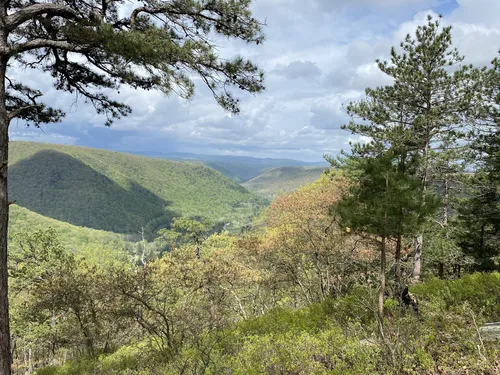 10 Best Hikes and Trails in Elk State Forest | AllTrails