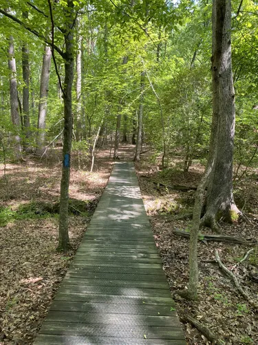 2023 Best Easy Trails in Locust Grove | AllTrails