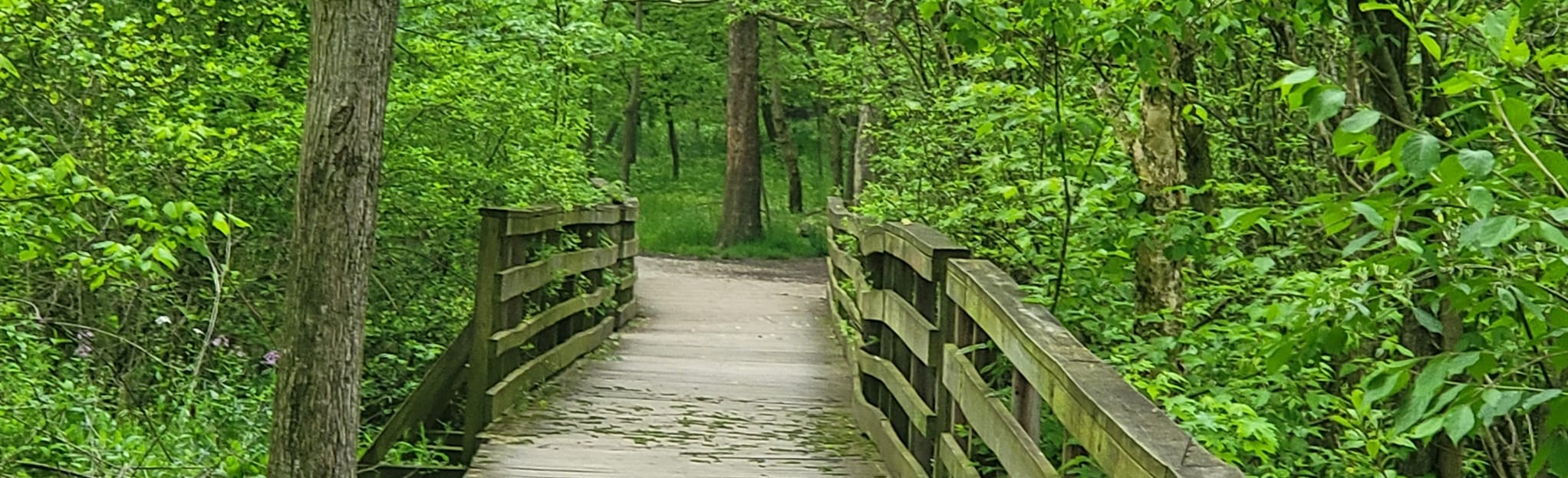 Frick Park Traffic Circle to Monongahela River Loop: 123 Reviews, Map ...