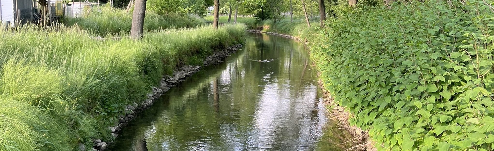 Geleen - Schinnen - Limburg, Netherlands | AllTrails