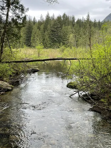 Best Hikes and Trails in Sasquatch Provincial Park | AllTrails