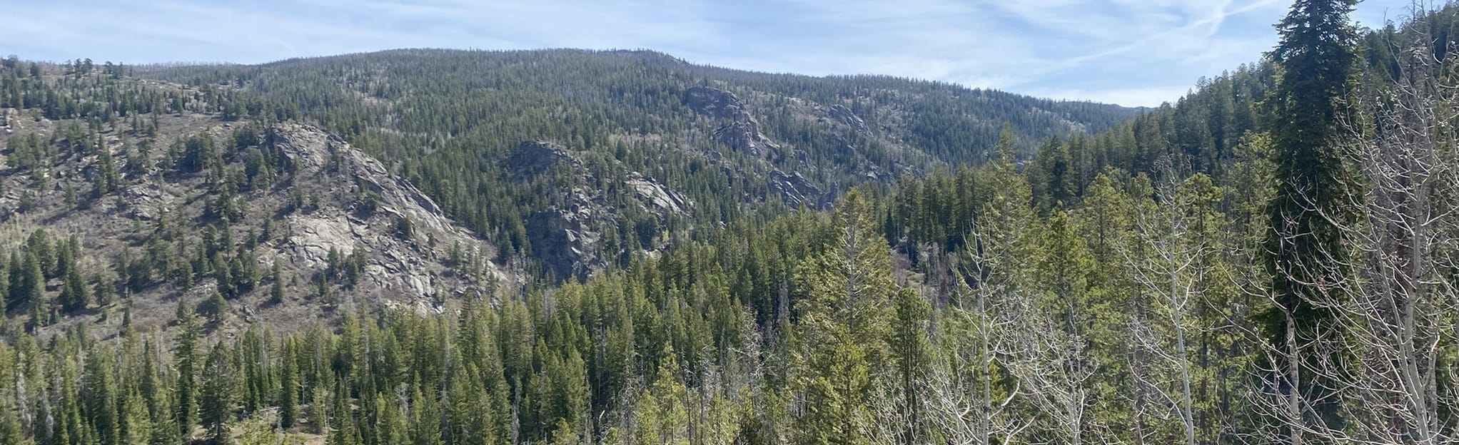Silver Creek Trail: 44 Reviews, Map - Colorado | AllTrails