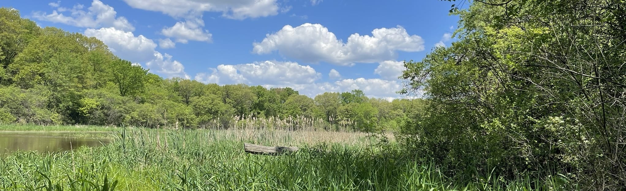 Palos Orange, Red and Brown Loop | Map, Guide - Illinois | AllTrails