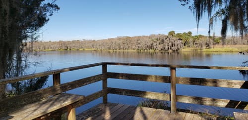 Best Hikes and Trails in Lake Harney Wilderness Area | AllTrails