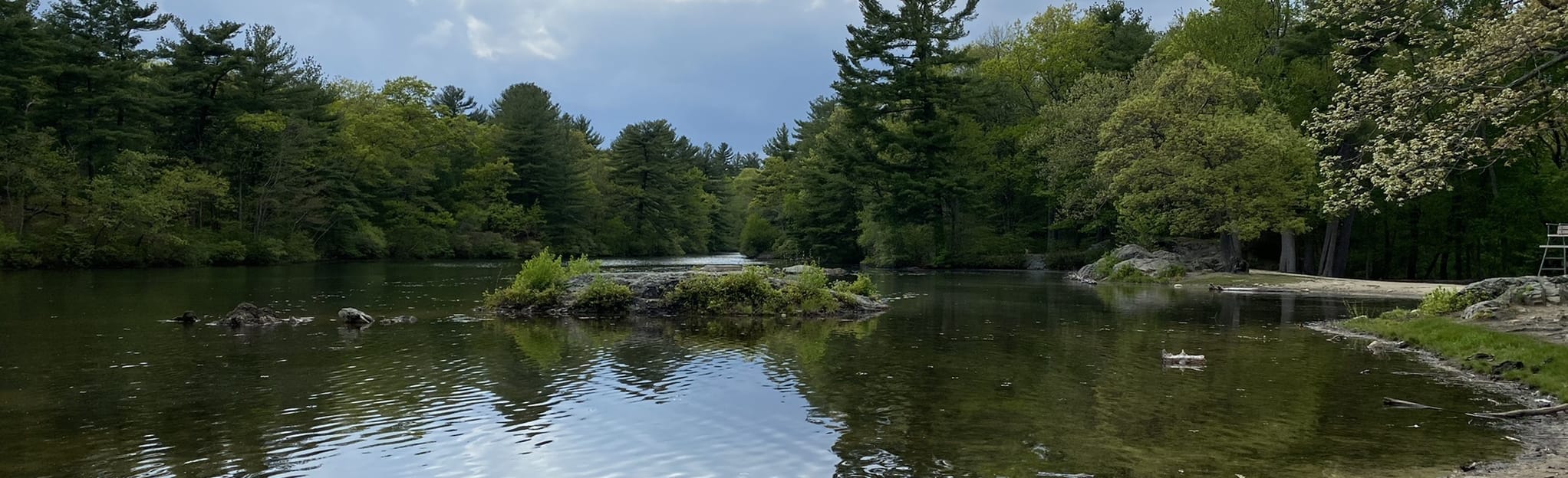 Breakheart Reservation Loop | Map, Guide - Massachusetts | AllTrails