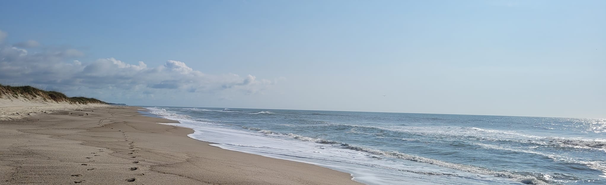 Fort Fisher to Bald Head Island Beach Walk - North Carolina | AllTrails